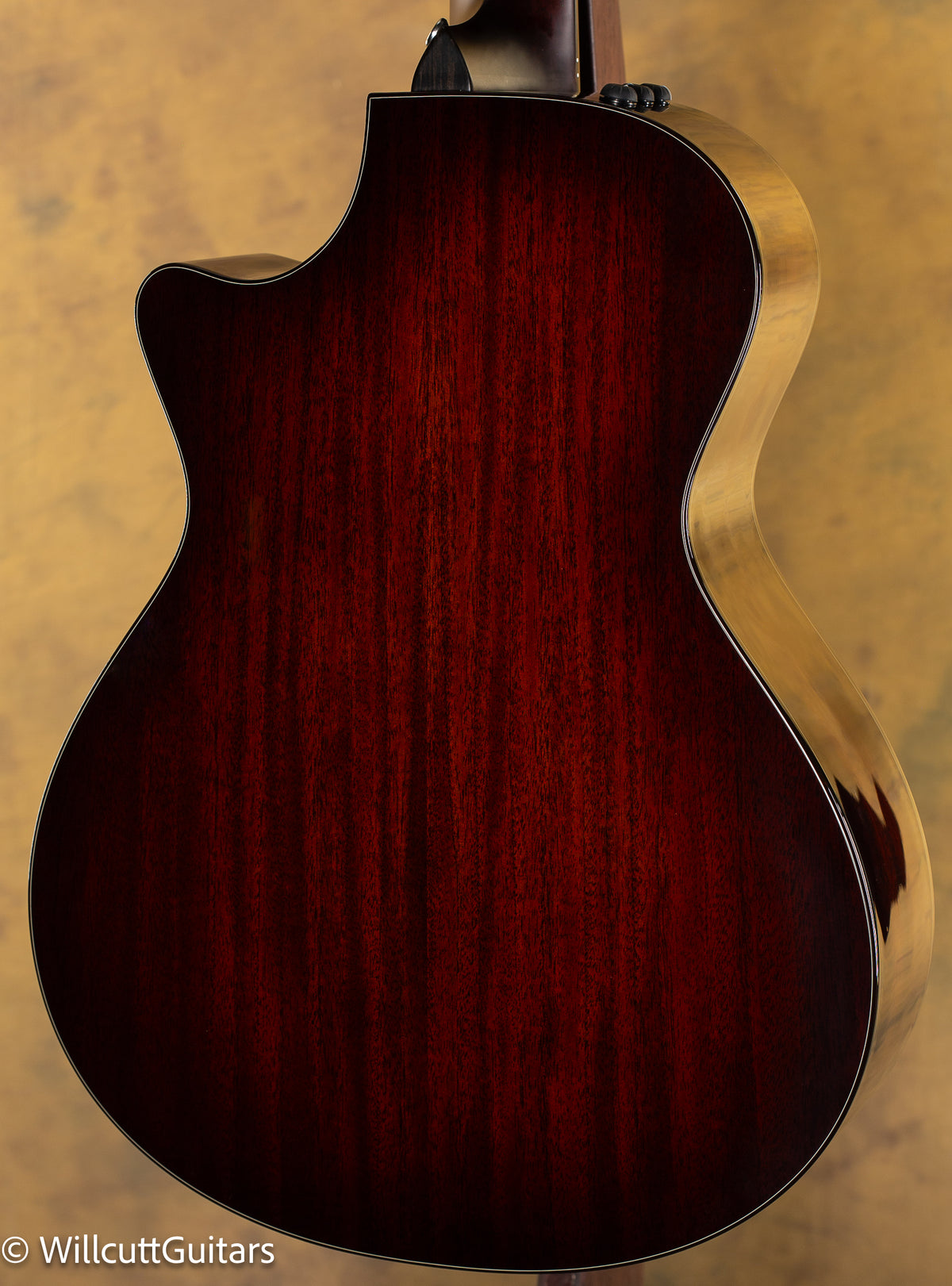 Taylor 562ce 12 Fret - Willcutt Guitars