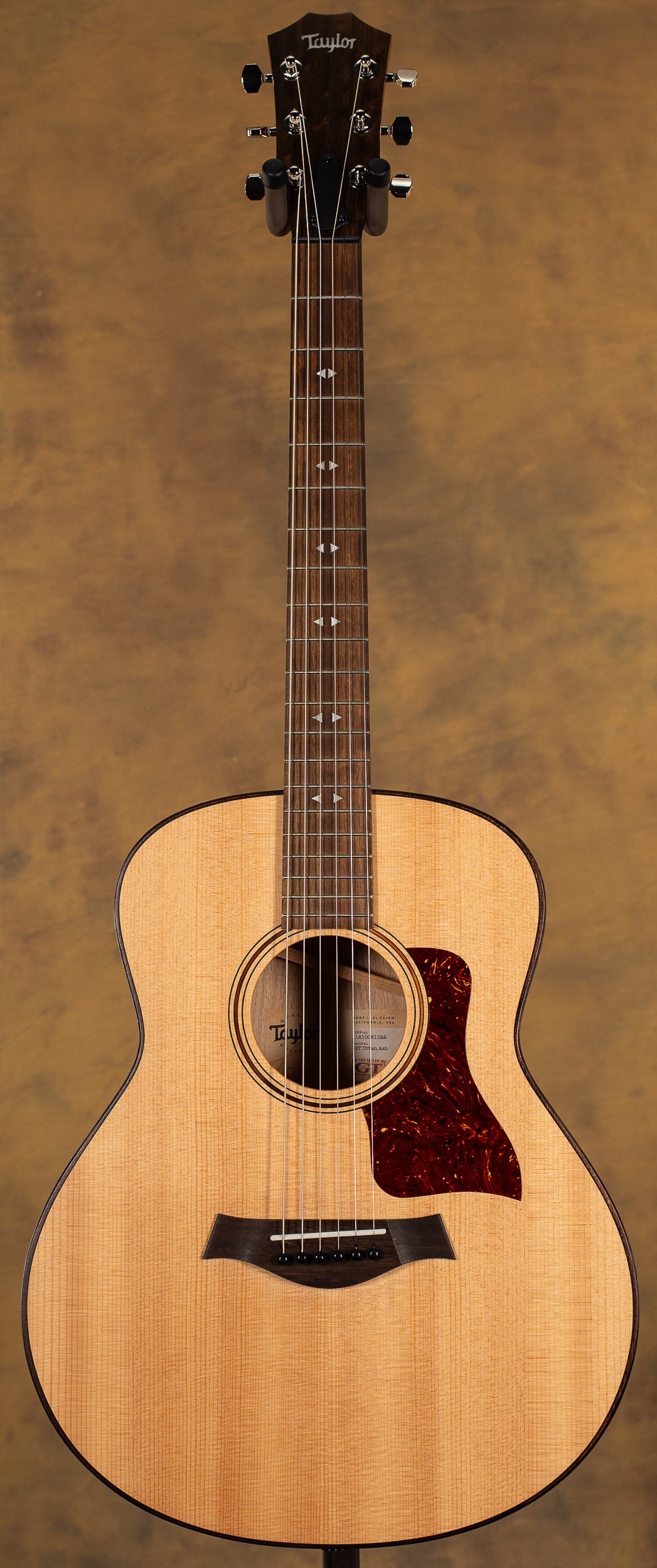 Taylor GT Grand Theater Urban Ash - Willcutt Guitars