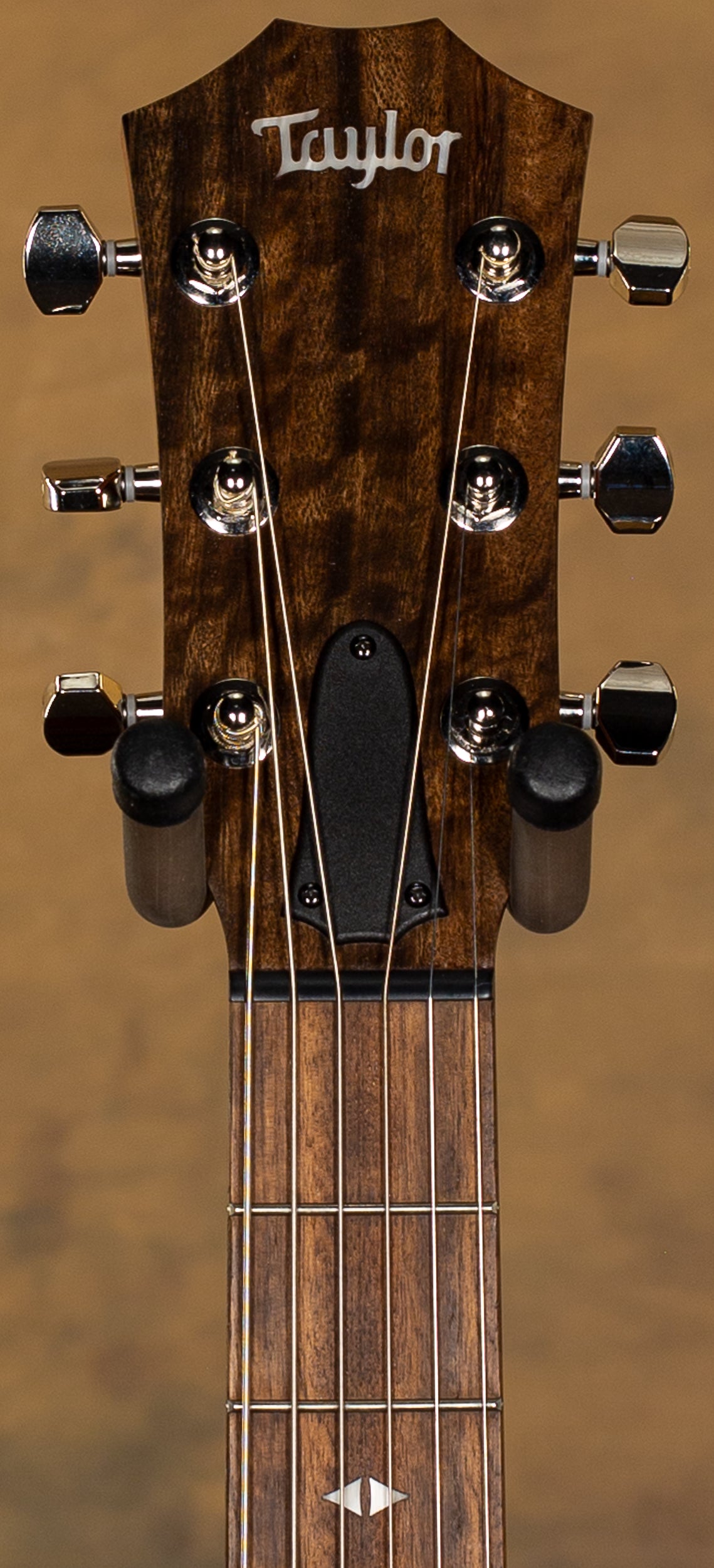 Taylor GT Grand Theater Urban Ash - Willcutt Guitars