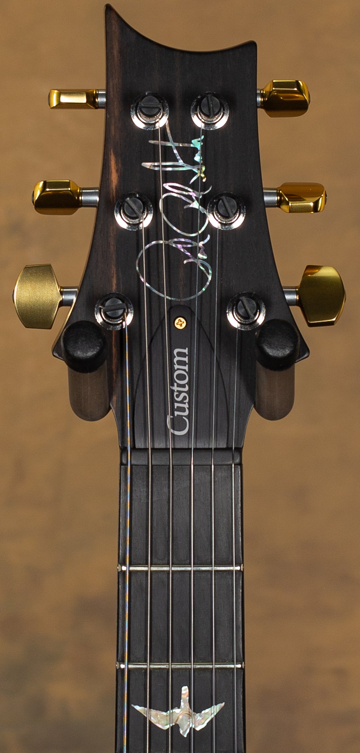 PRS Wood Library Custom 24 Fatback Rosewood Neck - Willcutt Guitars