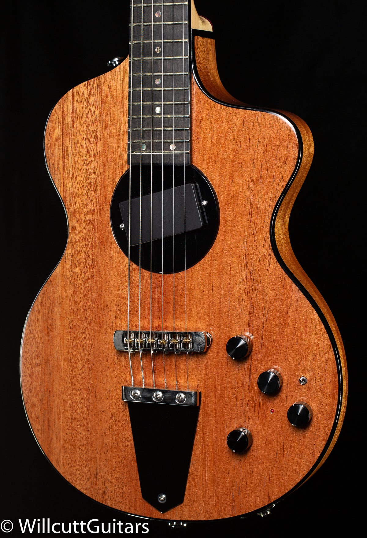 Rick Turner Model 1 Deluxe Electric Guitar Lindsey Buckingham Model (8 ...