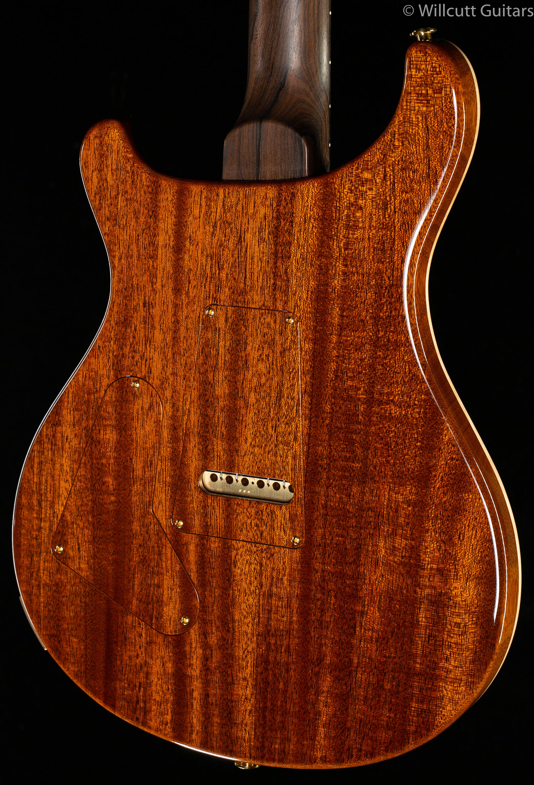 PRS Private Stock 8968 Custom 24 Opal Inlay - Willcutt Guitars