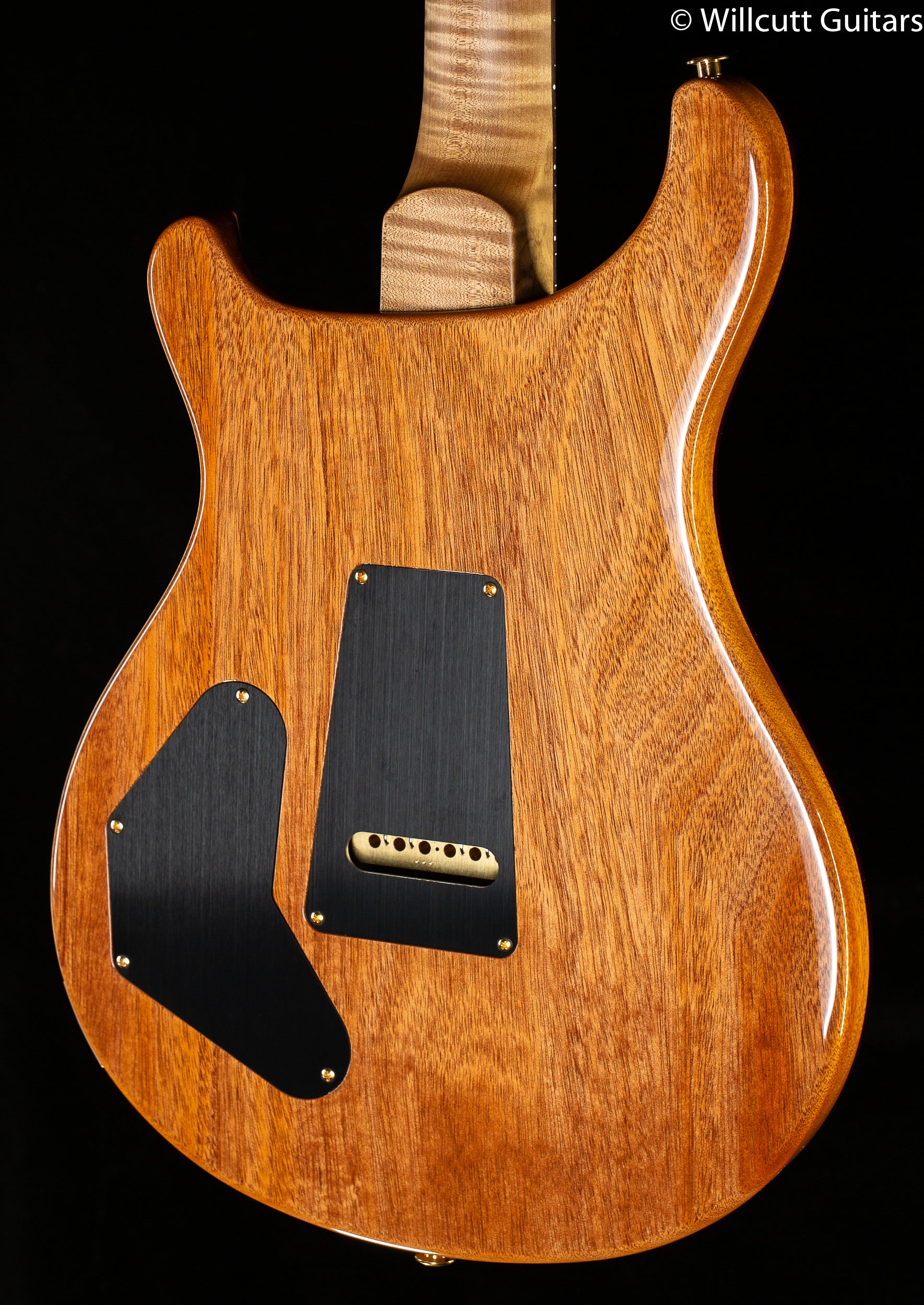 PRS Wood Library DGT Custom Color - Willcutt Guitars
