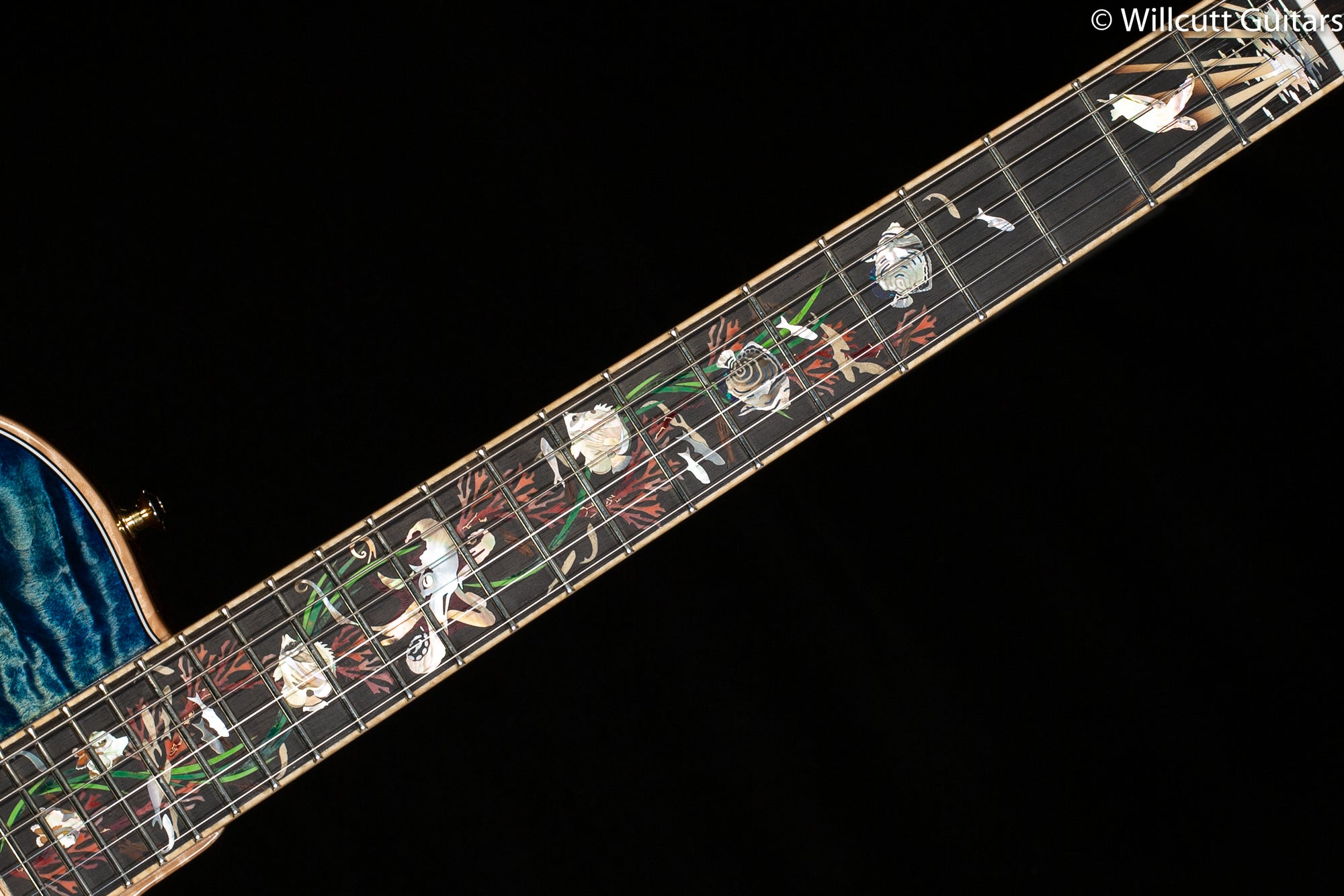 Knaggs Influence Kenai Limited "Reef of Life" Blue Green Quilt Tier 1 ...