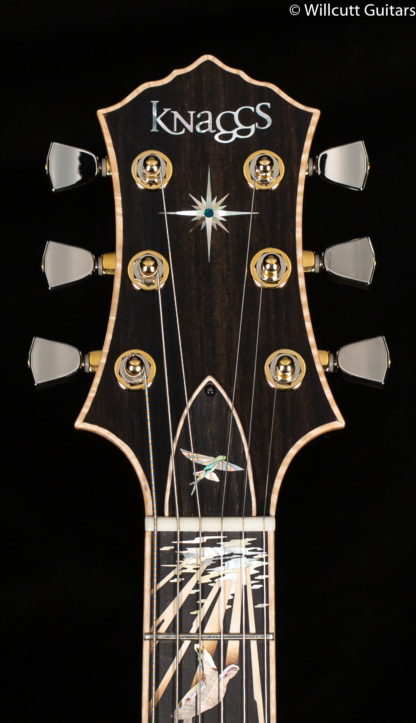 Knaggs Influence Kenai Limited "Reef of Life" Charcoal Burst Quilt Tie ...