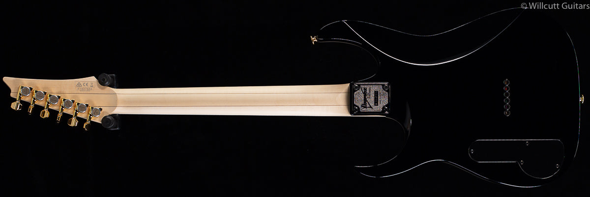 Ibanez PGM333 Paul Gilbert Signature Champagne Gold (550) - Willcutt ...