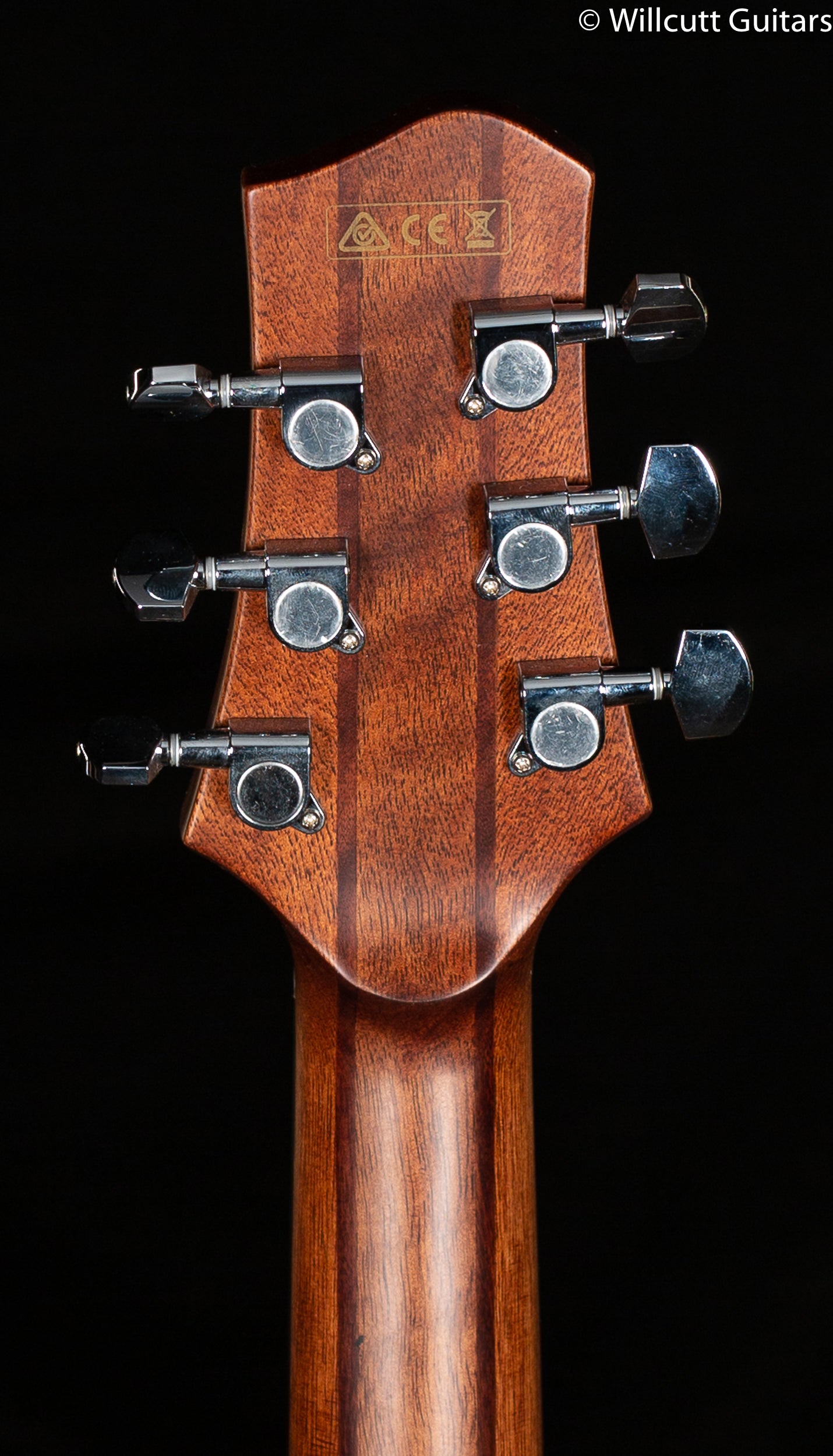 Ibanez PA230E Natural Satin Low Gloss (631) - Willcutt Guitars