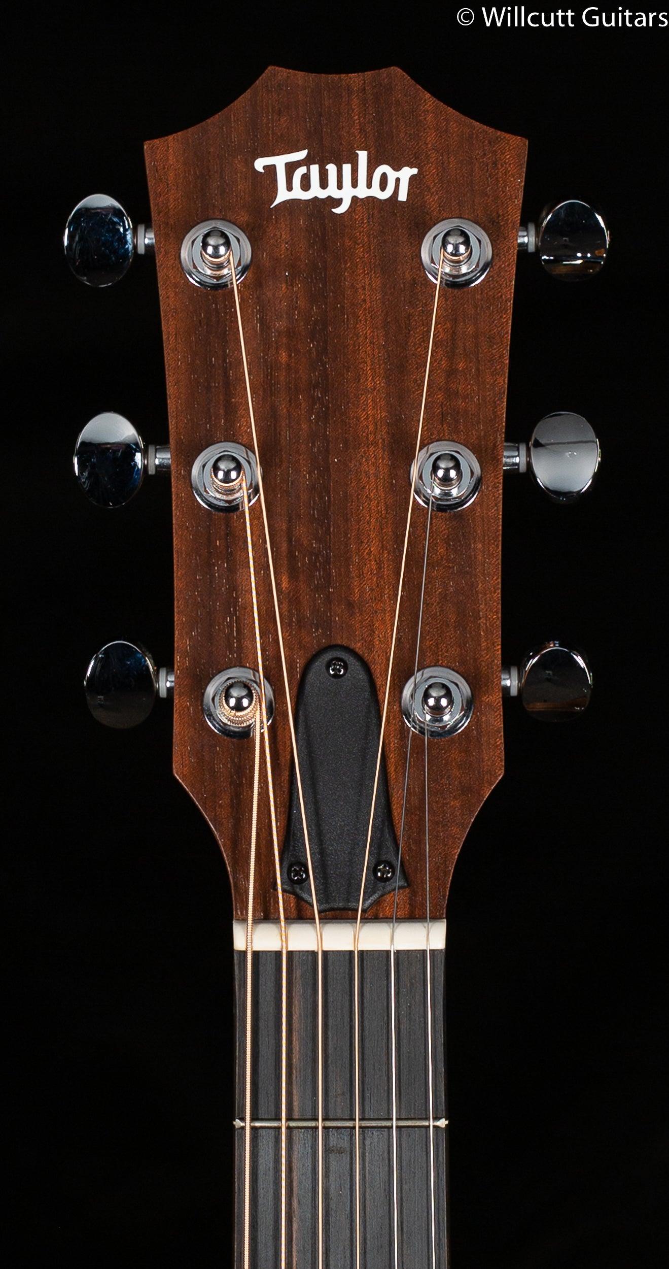 Taylor Big Baby Taylor Walnut/Walnut (450) - Willcutt Guitars