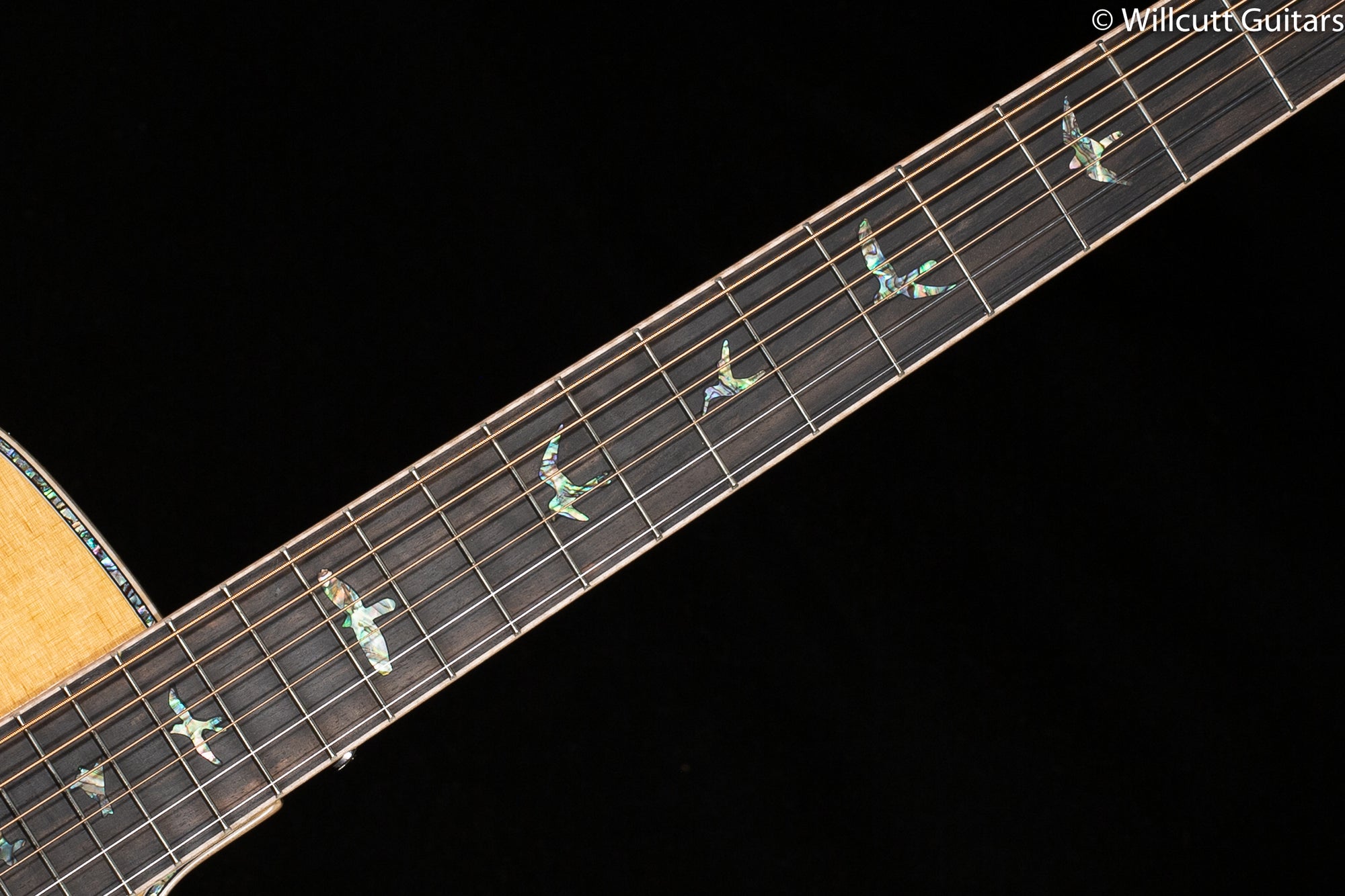 PRS SE AE60E Ziricote - Willcutt Guitars