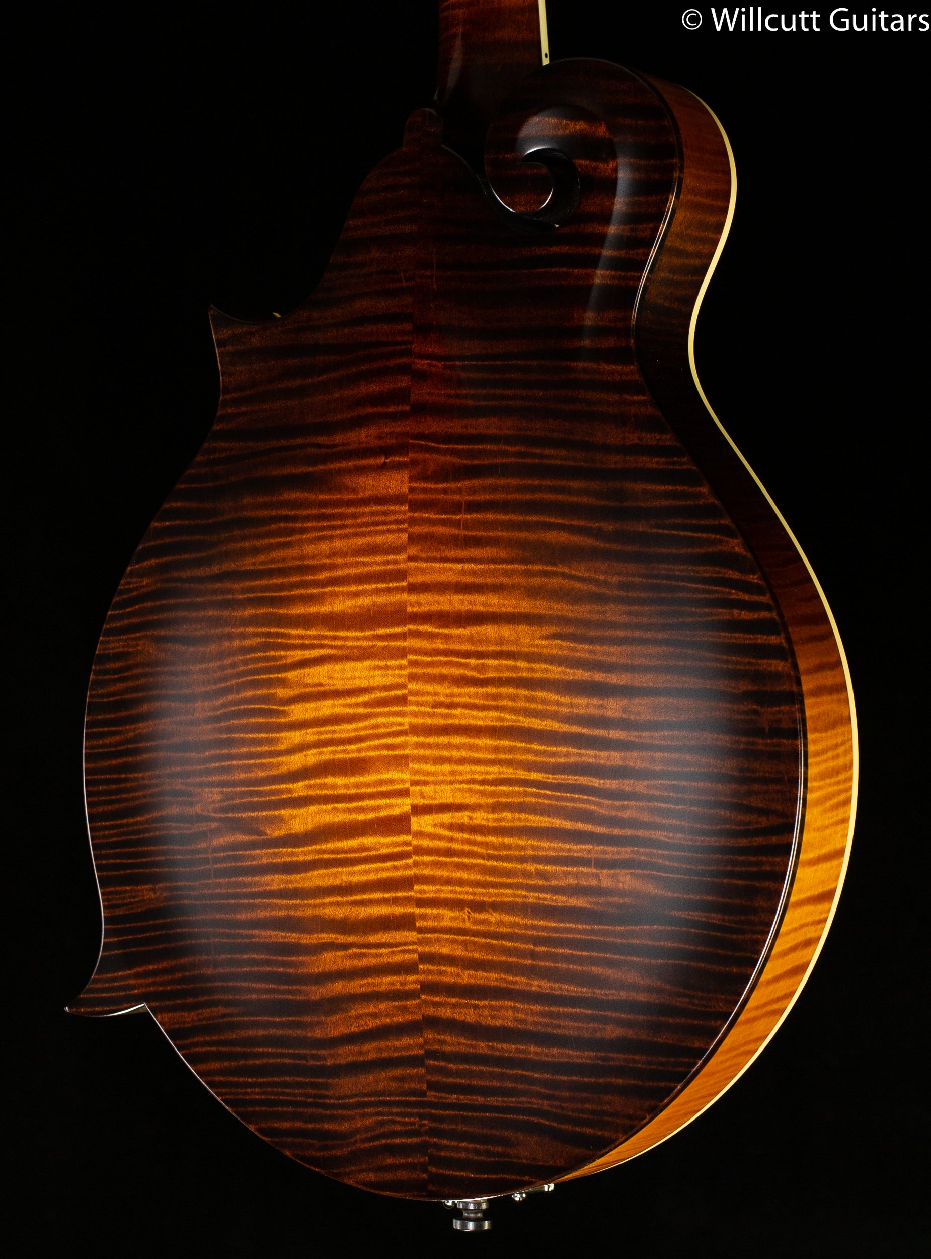 Collings MF Deluxe F Style Mandolin (270) - Willcutt Guitars