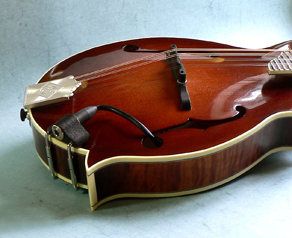 K&K Mandolin Twin Fusion with Carpenter Jack - Willcutt Guitars
